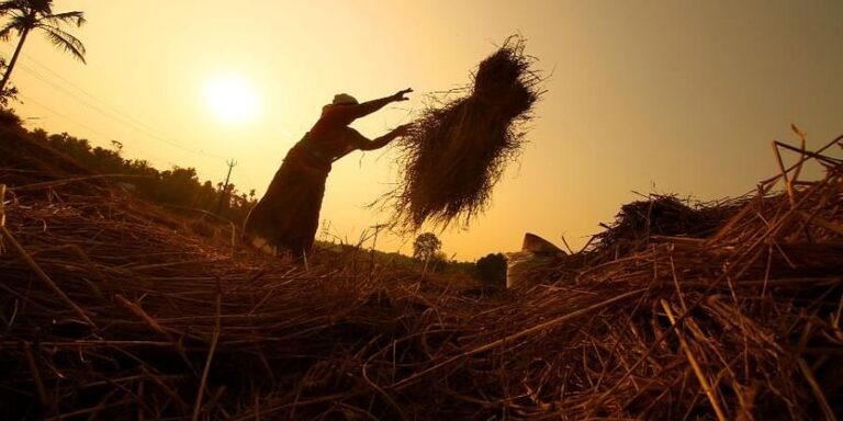 Remote sensing and machine learning reveal Archaic shell rings